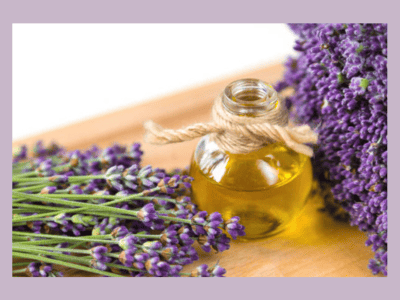 Lavender Essential Oil