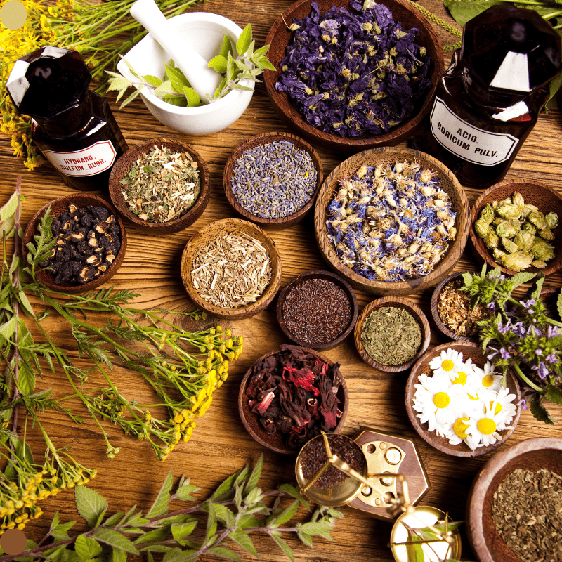 Natural Remedies & Non-Toxic Living Blog | Everyday Marla Kay