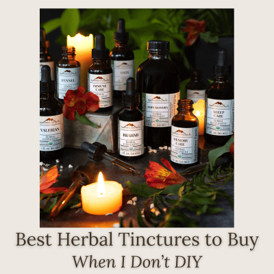 Best Herbal Tinctures to Buy | Everyday Marla Kay