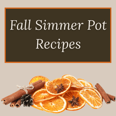DIY Fall Simmer Pot Recipes for a Cozy & Non-Toxic Home